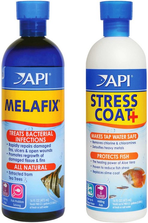 Fish Medicine | Chewy