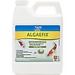 API Pond Algaefix Algae Control Solution, 32-fl oz bottle - Chewy.com