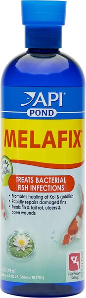 API Pond Melafix for Bacterial Infections in Fish, 16-fl oz bottle - Chewy.com