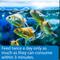 API Sinking Pellets Goldfish Food, 7-oz bottle - Chewy.com