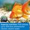 API Sinking Pellets Goldfish Food, 7-oz bottle - Chewy.com