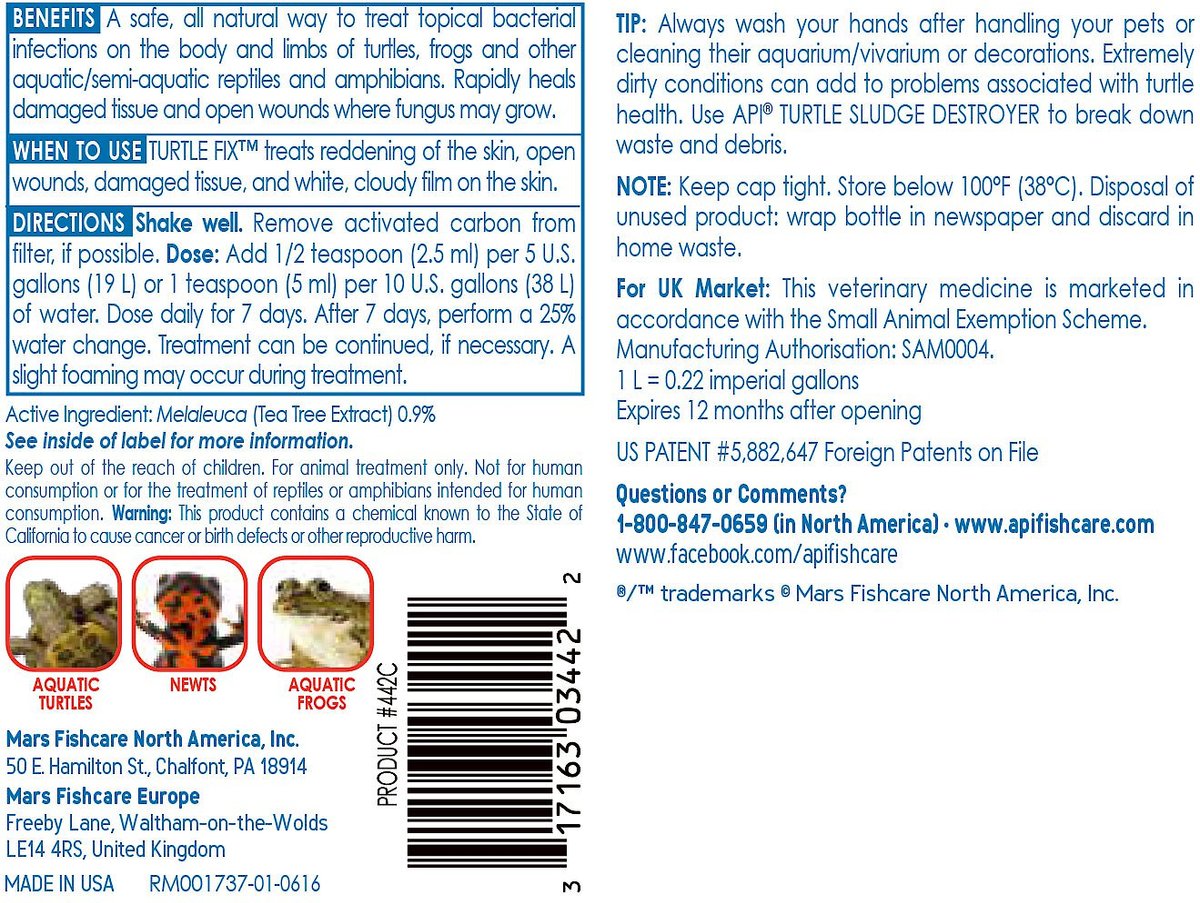 API Turtle Fix Antibacterial Treatment, 4-fl oz bottle - Chewy.com