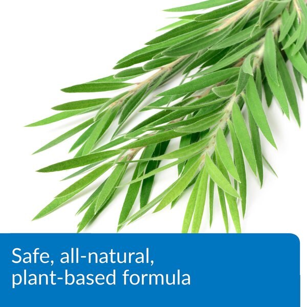 API Turtle Fix Antibacterial Treatment, 4-fl oz bottle - Chewy.com