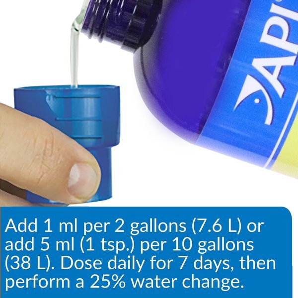 API Turtle Fix Antibacterial Treatment, 4-fl oz bottle - Chewy.com