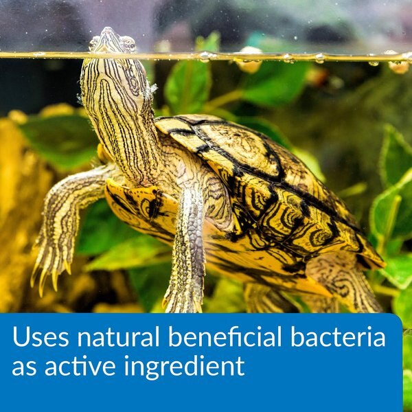 API Turtle Sludge Destroyer Aquarium Cleaner, 4-oz bottle - Chewy.com