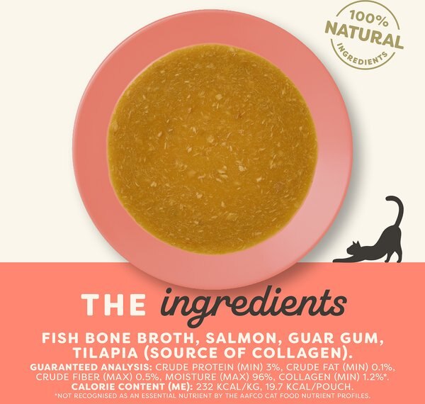 APPLAWS Fish Bone Broth with Salmon Cat Food Topper, 3-oz pouch, case ...