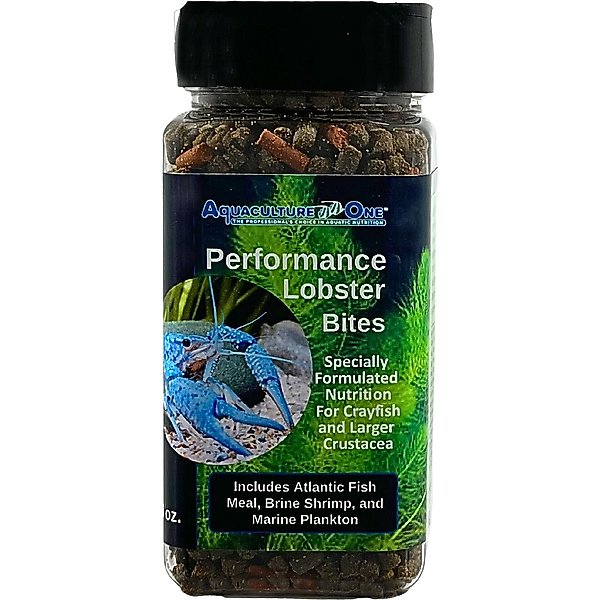 AQUACULTURE-ONE Performance Snail Tabs Fish Food, 5-oz bottle - Chewy.com