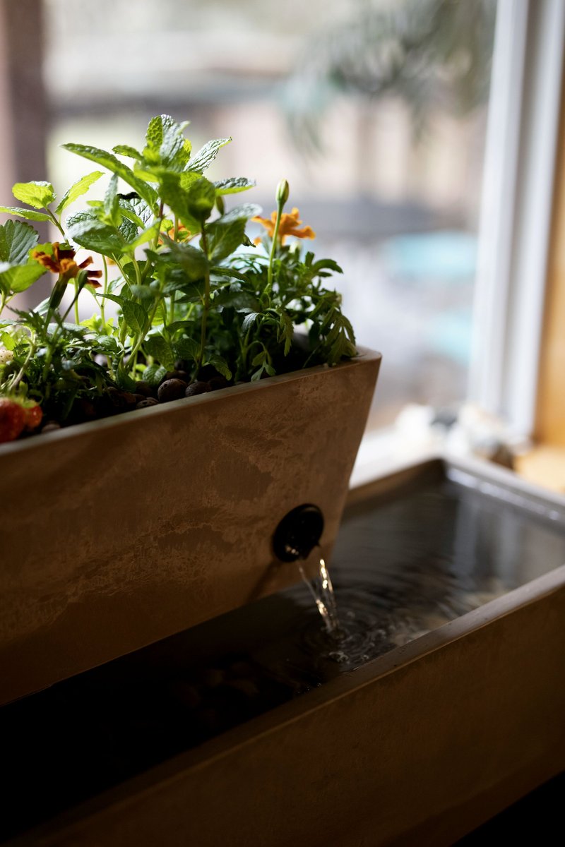 AQUASPROUTS Fountain Aquaponics Ecosystem Kit, Taupe, 6-gal - Chewy.com