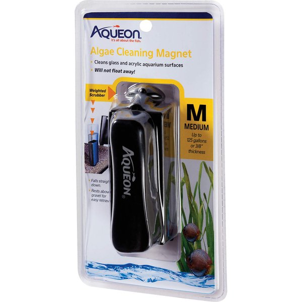 AQUEON Algae Cleaning Magnet for Aquariums, Medium - Chewy.com