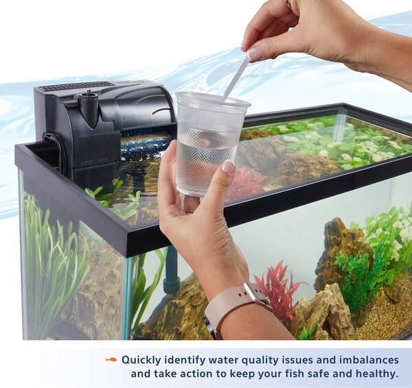 AQUEON Ammonia Aquarium Test Strips, 50 count - Chewy.com