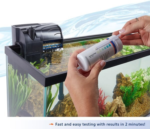 AQUEON Ammonia Aquarium Test Strips, 50 count - Chewy.com