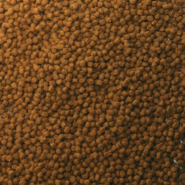 AQUEON Goldfish Granule Fish Food, 3-oz jar - Chewy.com