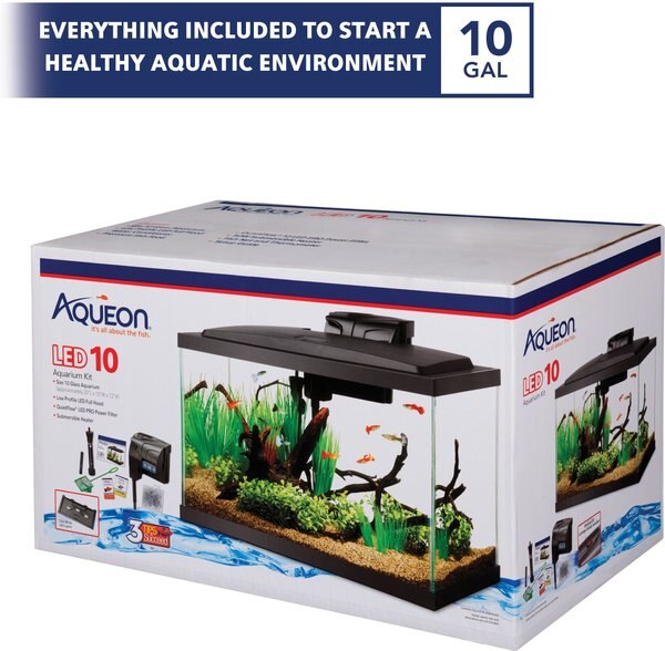 Aqueon LED Fish Aquarium Starter Kit, 10 gallon (Free Shipping) | Chewy