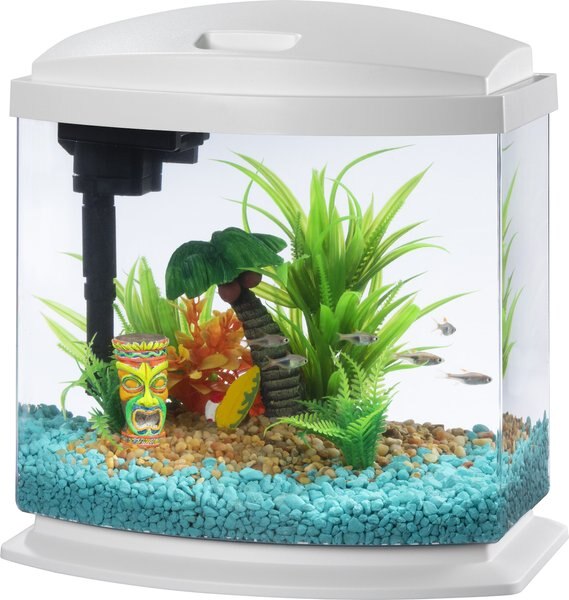 AQUEON LED MiniBow SmartClean Fish Aquarium Kit, White, 2.5-gal - Chewy.com