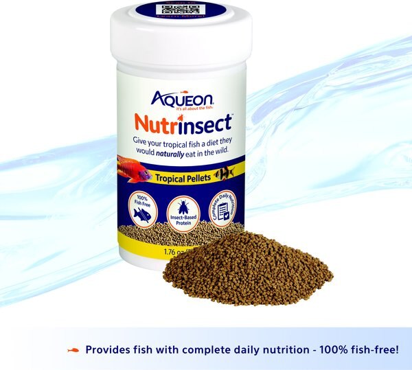 AQUEON Nutrinsect Fish-Free Fish Food Tropical Pellets, 1.76-oz - Chewy.com