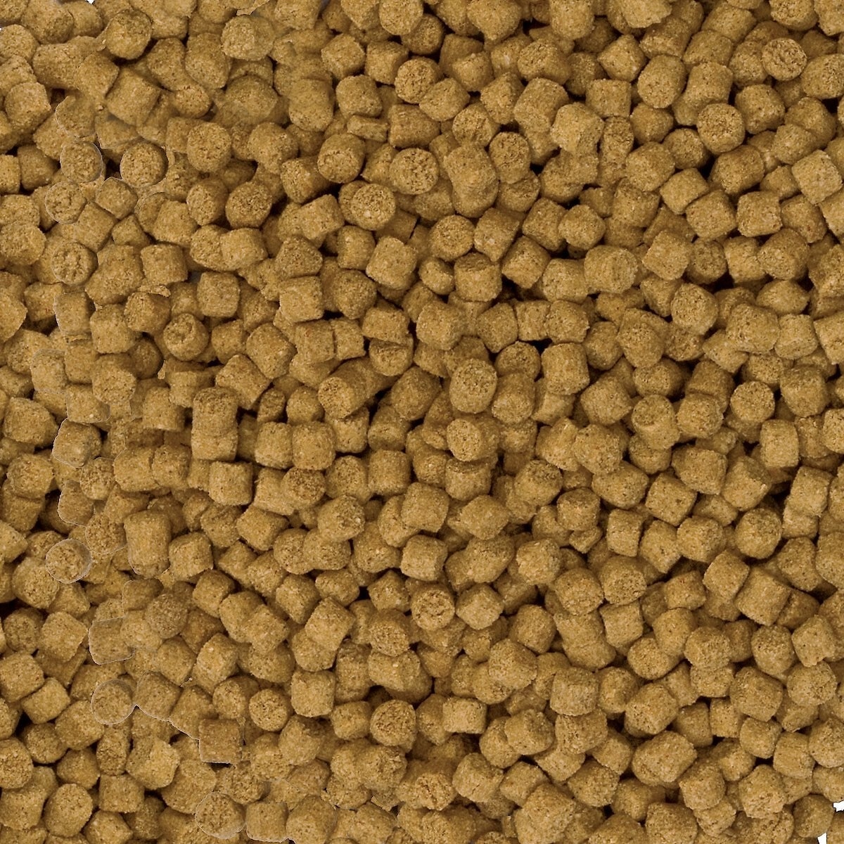 AQUEON Shrimp Pellets Fish Food, 6.5-oz jar - Chewy.com