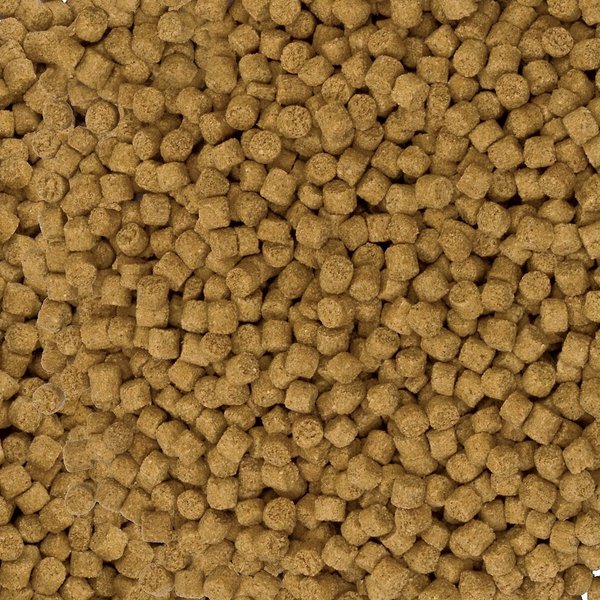 Out of Stock - AQUEON Shrimp Pellets Fish Food, 6.5-oz jar - Chewy.com