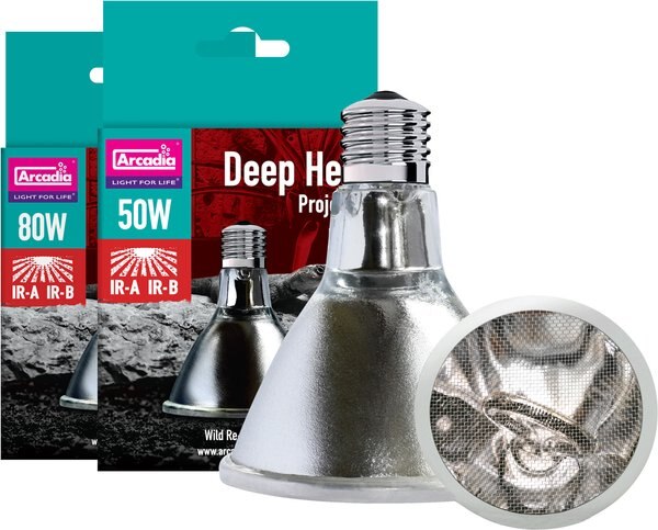 ARCADIA REPTILE Deep Heat Projector, 50-watt - Chewy.com
