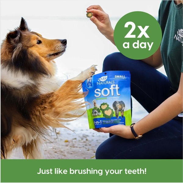 ARK NATURALS Soft Brushless Toothpaste Small Dental Dog Treats, 12-oz ...