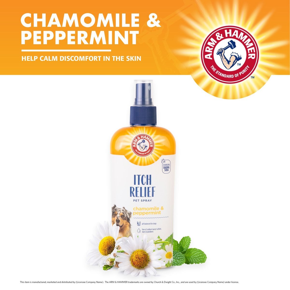 ARM & HAMMER PRODUCTS Itch Relief Dog Spray, 8-fl oz bottle - Chewy.com
