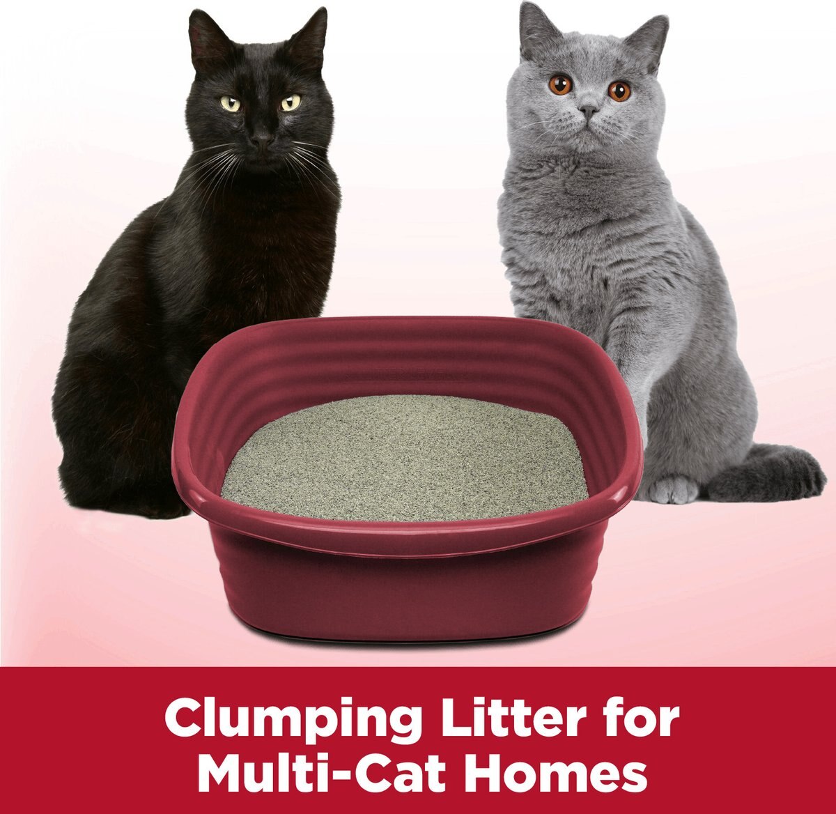 ARM & HAMMER LITTER Clump & Seal Multi-Cat Scented Clumping Clay Cat ...