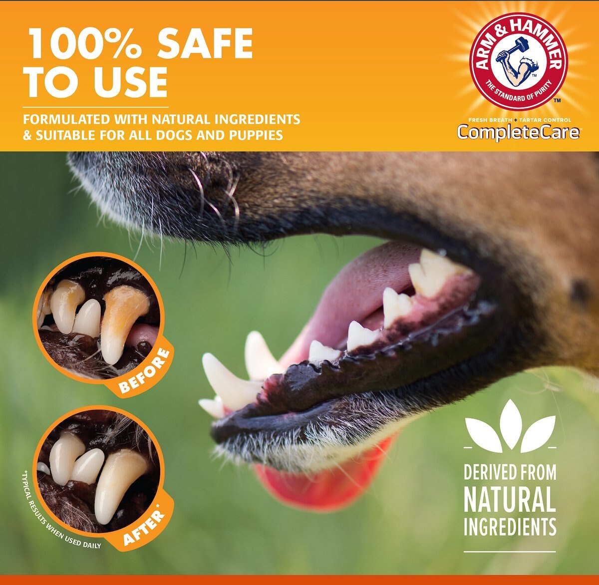 ARM & HAMMER PRODUCTS Complete Care Adult Chicken Flavored Dog ...