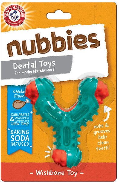 ARM & HAMMER PRODUCTS Nubbies WishBone Dental Dog Toy - Chewy.com
