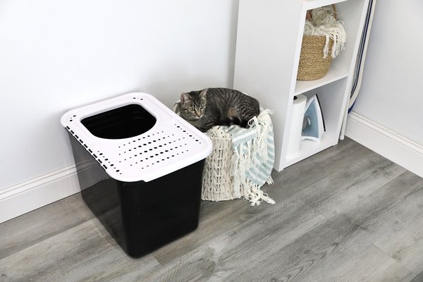 ARM & HAMMER Top Entry Cat Litter Box, Large - Chewy.com