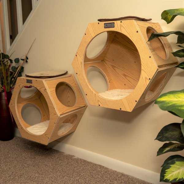 10 Best Cat Shelves 2026: According to Reviews | Chewy