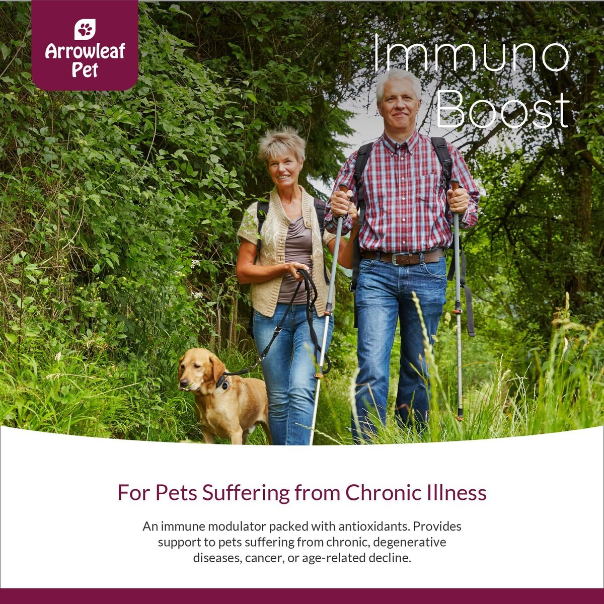 ARROWLEAF PET BY NATURPET INC. Immuno Boost Immune System Supplement ...