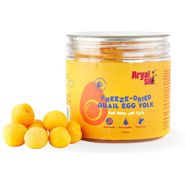 ARYA SIT Egg Yolk Freeze-Dried Dog Treats, 4.68-oz jar - Chewy.com