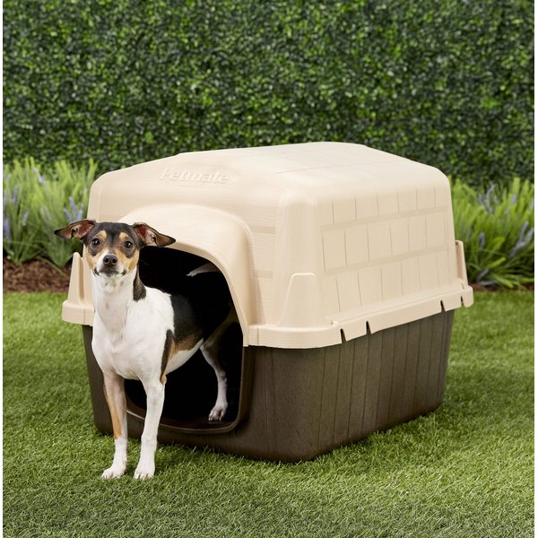 ECOSMART Bonita Pet Dog House, Blue - Chewy.com