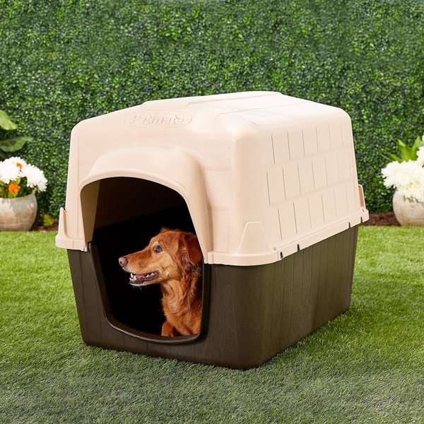 10 Best Dog Houses 2026: According to Reviews | Chewy