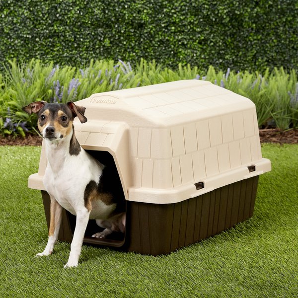 ASPEN PET Petbarn 3 Plastic Dog House, Up to 15-lbs - Chewy.com