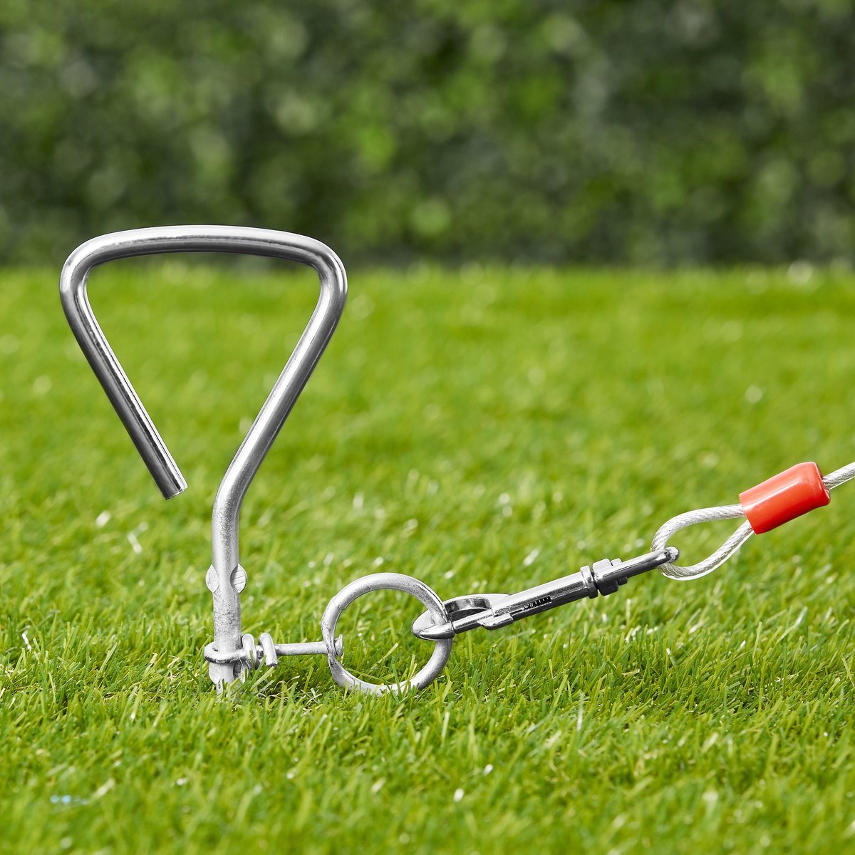 ASPEN PET Spiral Stake with 20-Ft Tie-out Cable, Medium, 16-in - Chewy.com