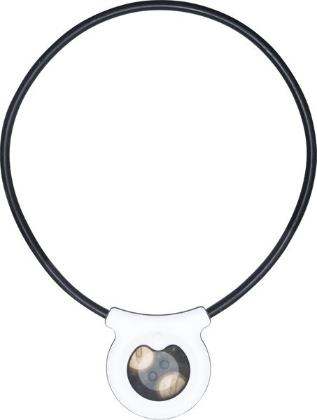 ASSISI ANIMAL HEALTH 2.0 Manual Dog & Cat Loop, 20-cm - Chewy.com