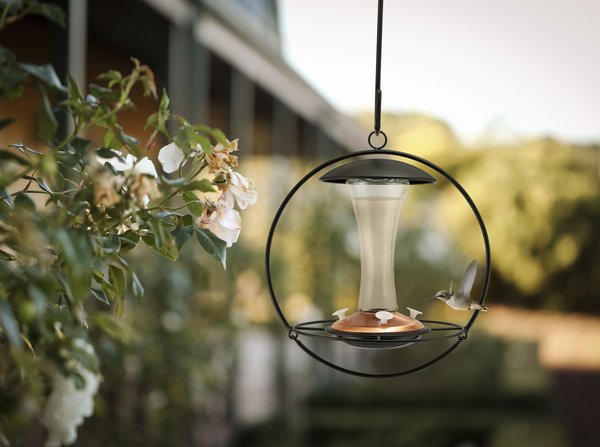 AUDUBON Contemporary Floating Sphere Hummingbird Feeder, 16-oz - Chewy.com