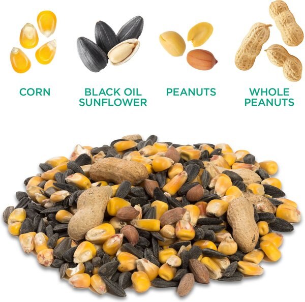 AUDUBON PARK Critter Crunch Wild Bird Food, 15-lb bag - Chewy.com