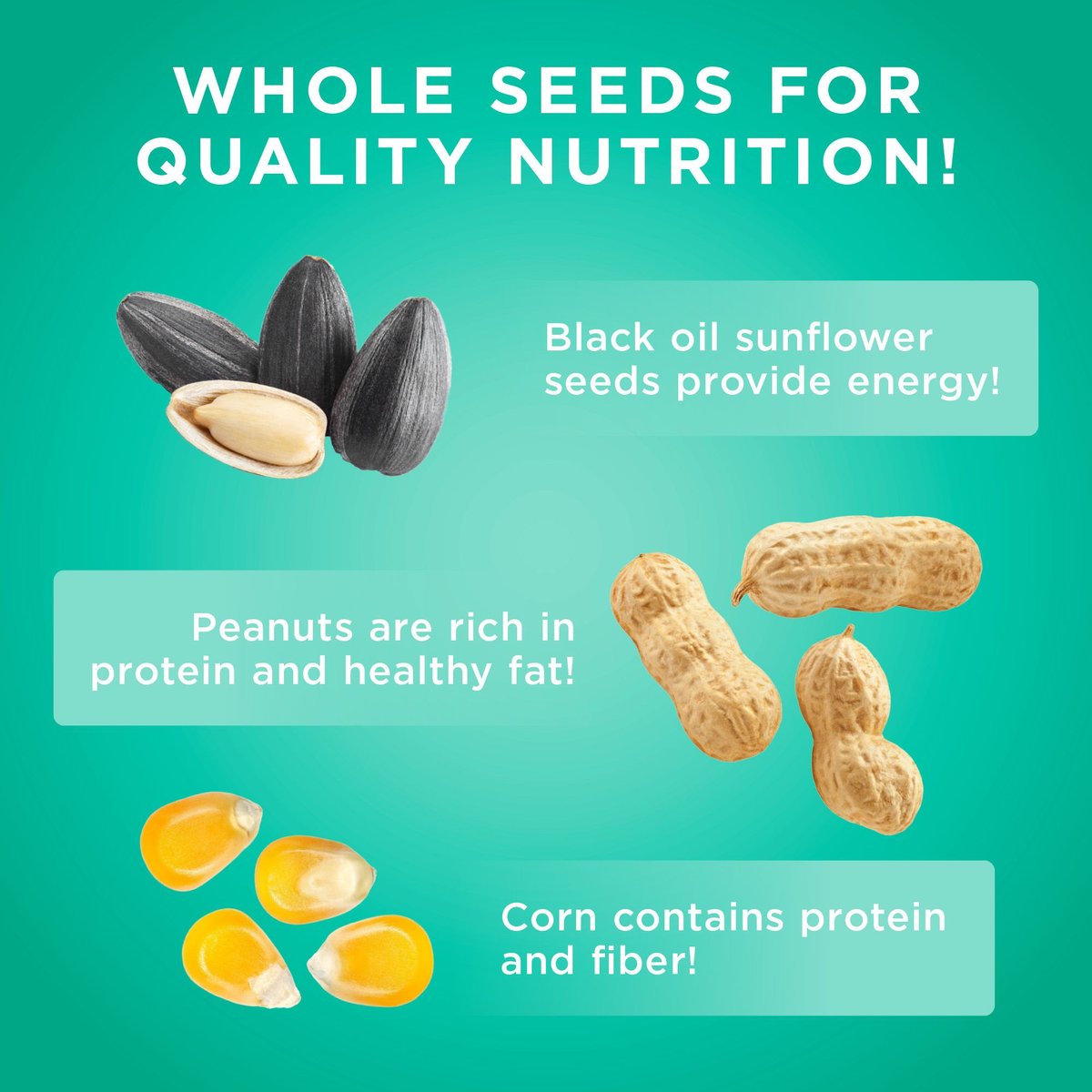 AUDUBON PARK Critter Crunch Wild Bird Food, 15-lb bag - Chewy.com