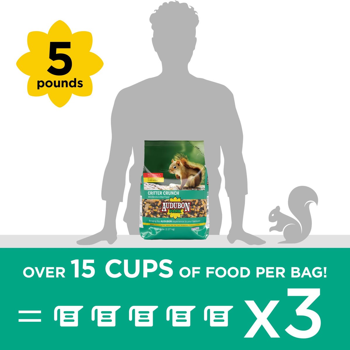 AUDUBON PARK Critter Crunch Wild Bird Food, 5-lb bag - Chewy.com