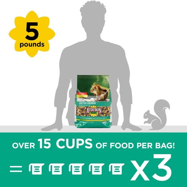 AUDUBON PARK Critter Crunch Wild Bird Food, 5-lb bag - Chewy.com