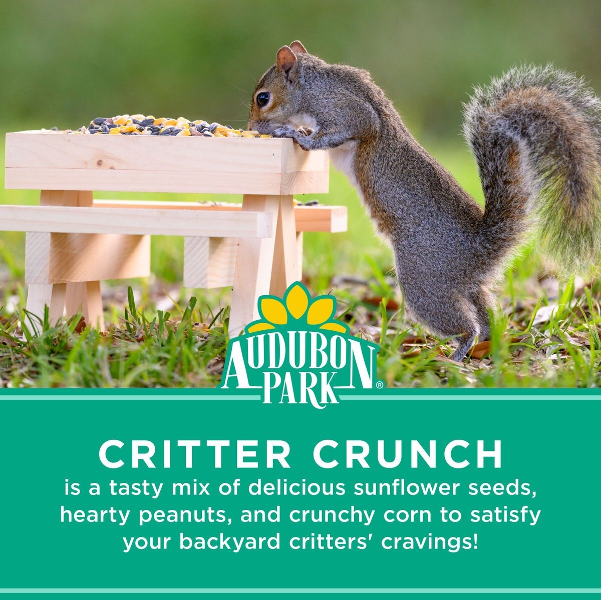 AUDUBON PARK Critter Crunch Wild Bird Food, 5-lb bag - Chewy.com