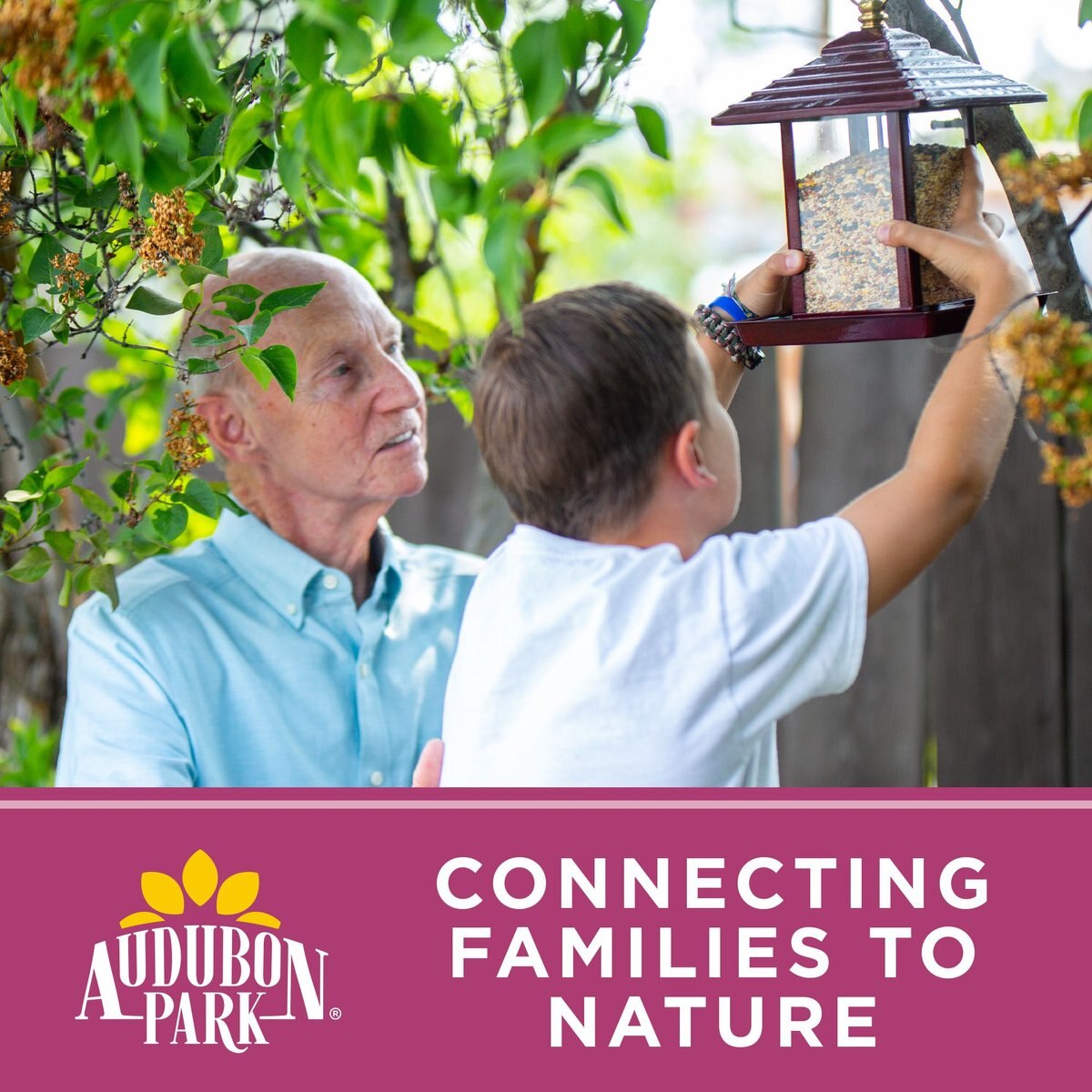 AUDUBON PARK Nut & Fruit Seed Blends Wild Bird Food, 5-lb bag - Chewy.com