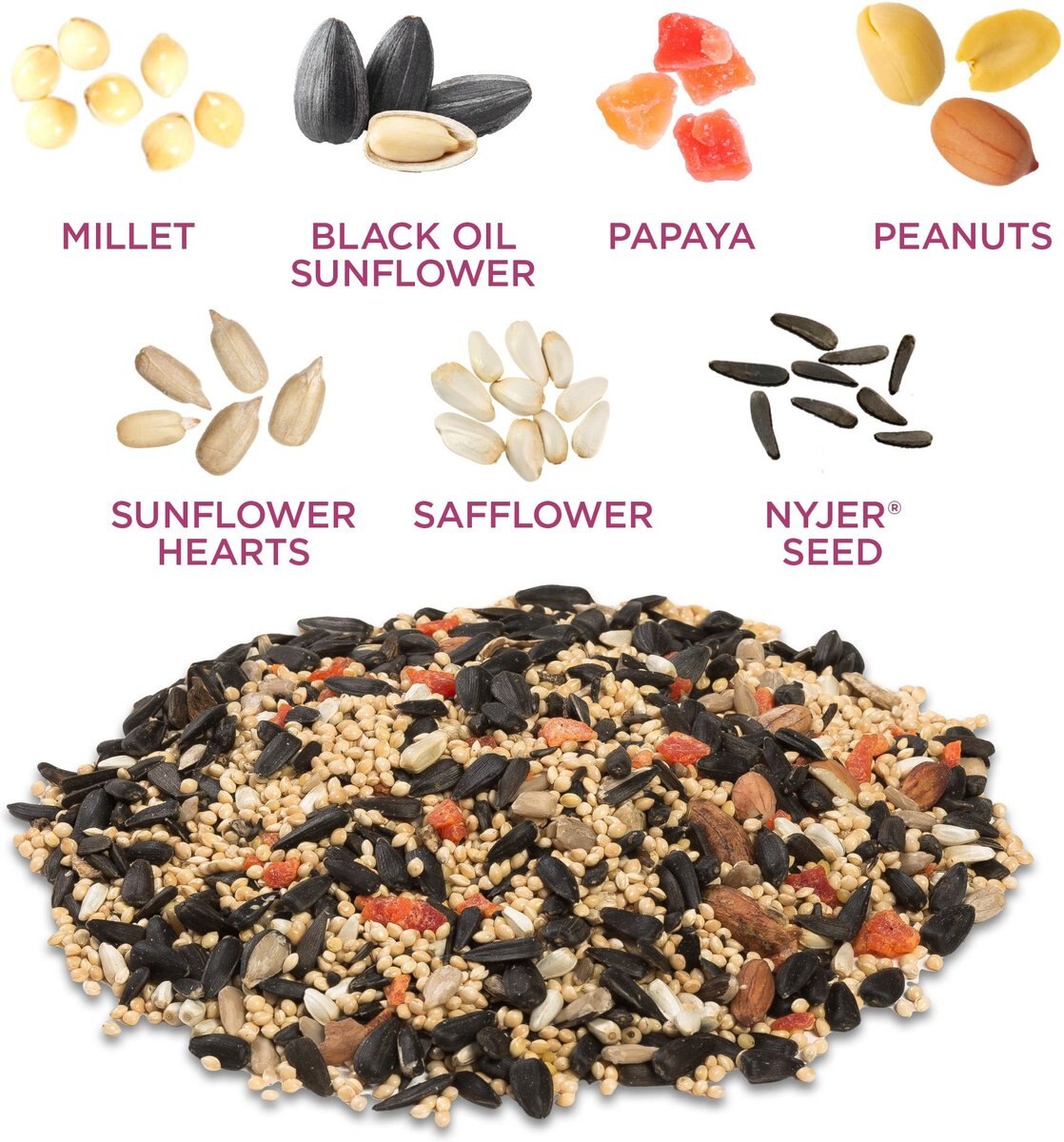 AUDUBON PARK Nut & Fruit Seed Blends Wild Bird Food, 5-lb bag - Chewy.com