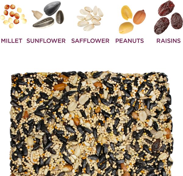 AUDUBON PARK Nut & Fruit Seed Cake Wild Bird Food, 24-oz box, 6 count ...