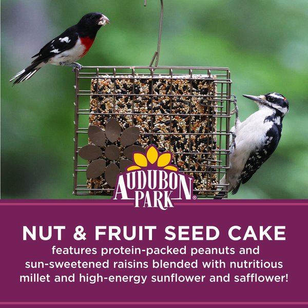 AUDUBON PARK Nut & Fruit Seed Cake Wild Bird Food, 24-oz box, 6 count ...
