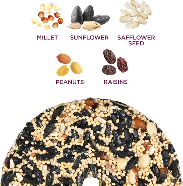 AUDUBON PARK Nut & Fruit Snack Stack Seed Wild Bird Food, 7-oz box, 6 ...