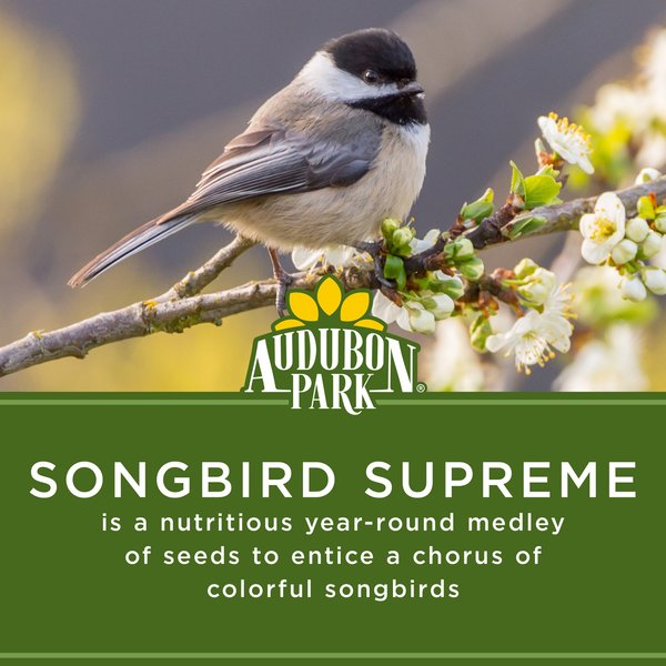 AUDUBON PARK Songbird Supreme Wild Bird Food, 15-lb bag - Chewy.com