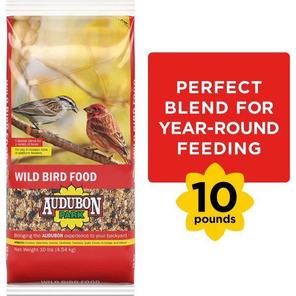 TUCSON BIRD DESIGNS Hummingbird Magic Bird Food, 2-lb jar - Chewy.com
