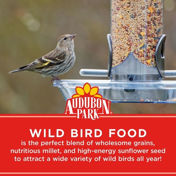 AUDUBON PARK Wild Bird Food, 5-lb bag - Chewy.com